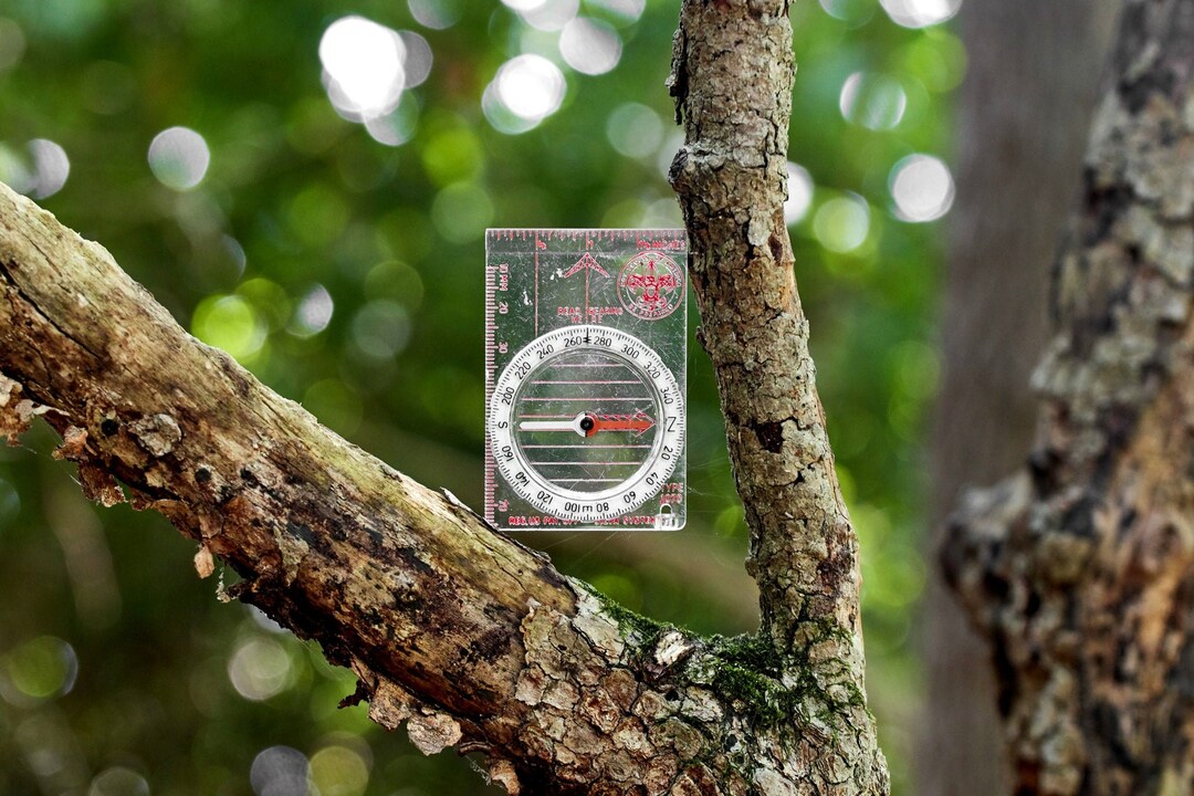 Silva Compass With Boy Scout Logo - Etsy