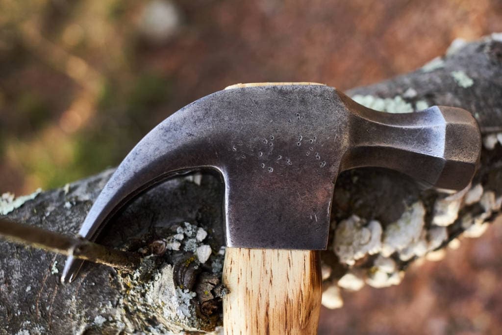 Belknap Bluegrass claw hammer