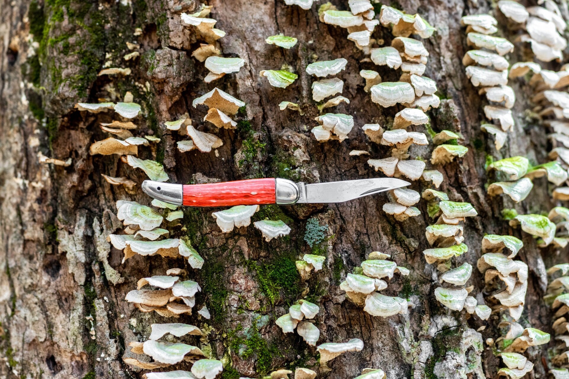 Vintage Hammer Brand pocket knife