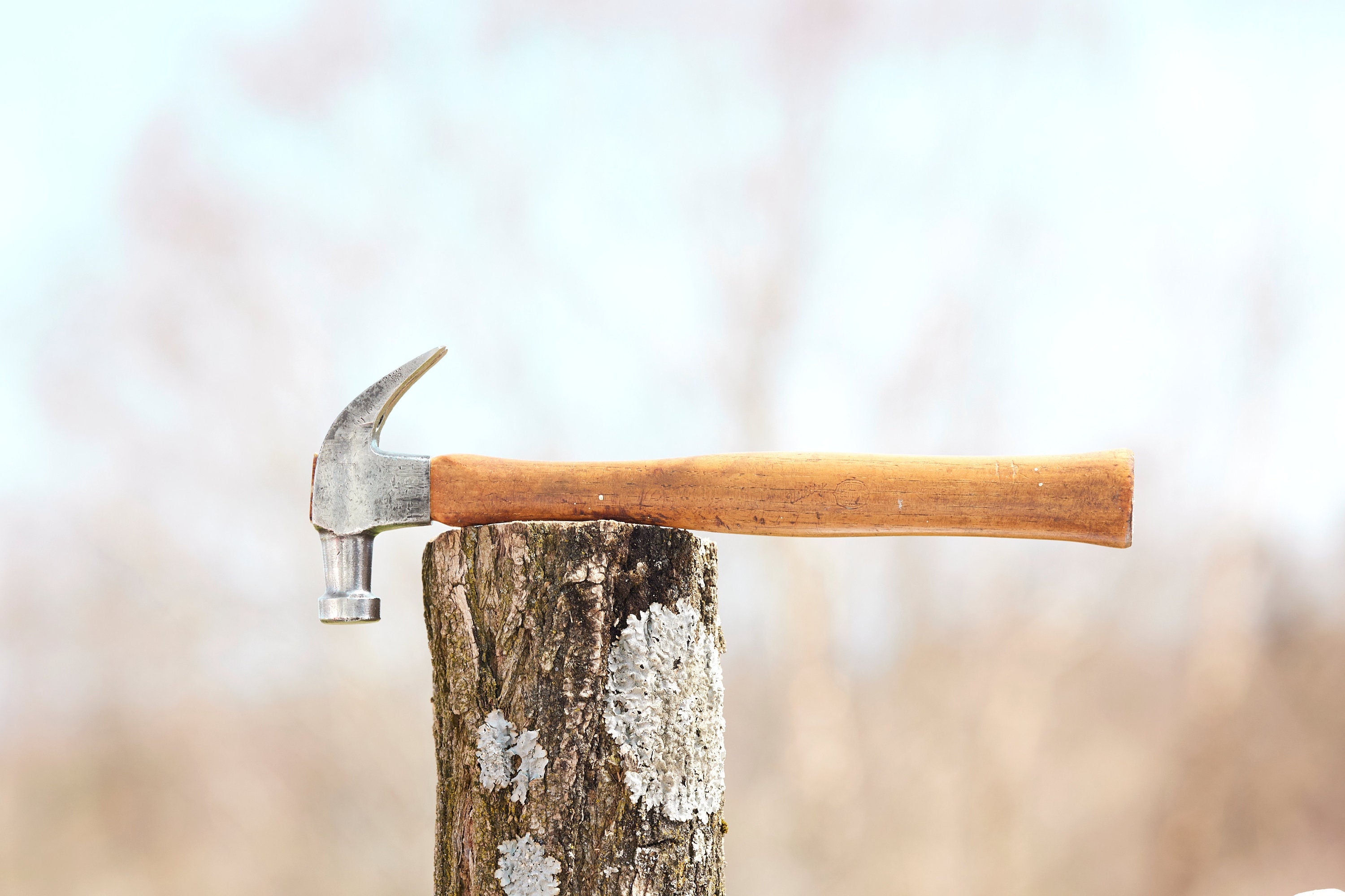 Plumb Victory Claw Hammer