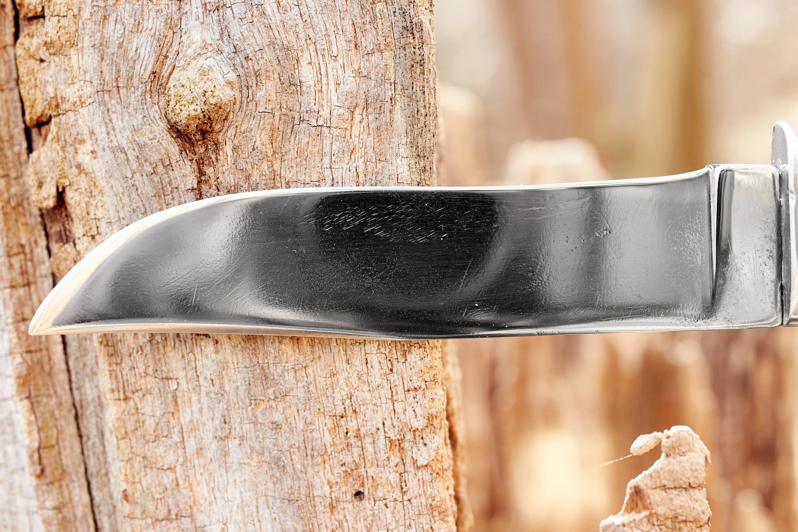 Vintage Cattaraugus Fixed Blade Knife With Handmade Leather Sheath - Etsy
