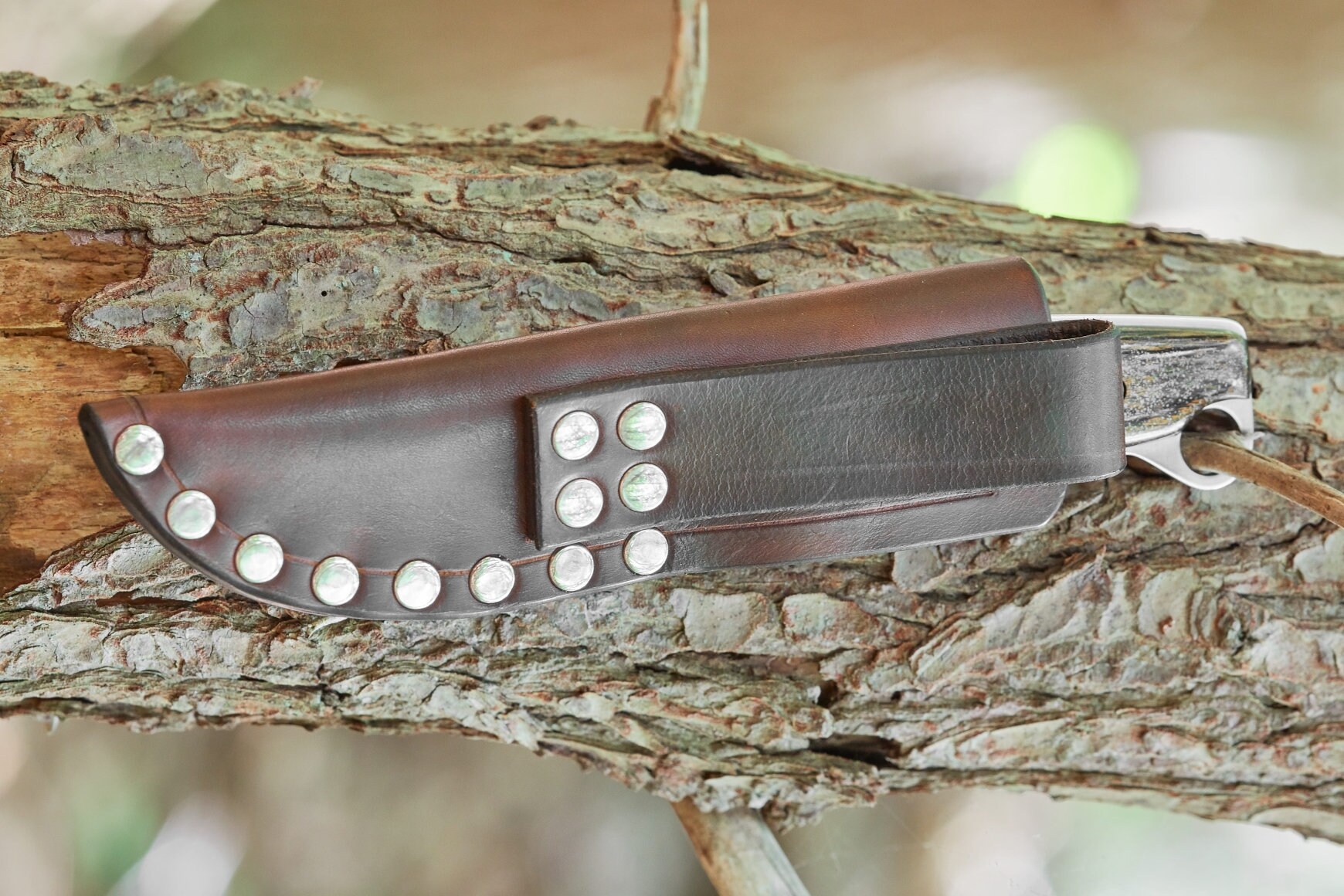 Buck 403 Fixed Blade knife with custom leather sheath