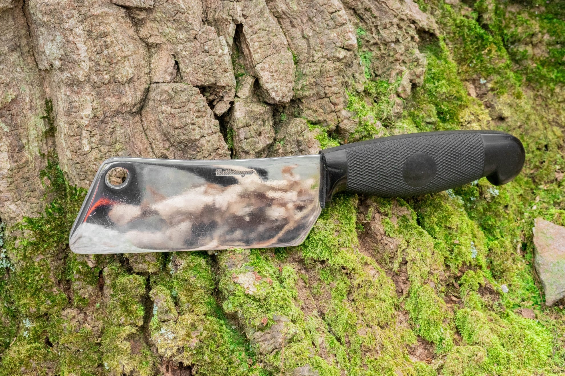 Cattaraugus Cleaver