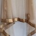 Golden Net Dupatta With Beaded Border. Indian Dupatta for Women With ...