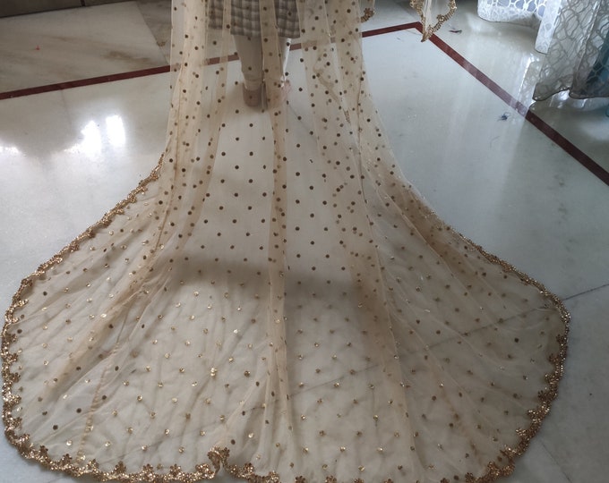 Golden Net Bridal Entry Dupatta in Indian Wedding for Women. Long Trail ...