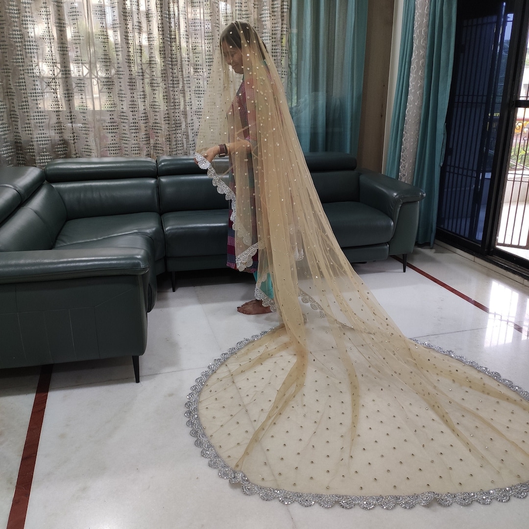 Bridal Entry Indian Long Trail Dupatta. Net Embroidered Beige Silver ...