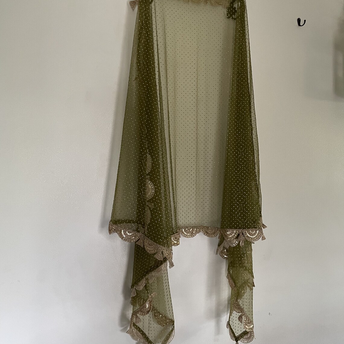 Olive Green Net Dupatta With Golden Beaded Border Indian - Etsy