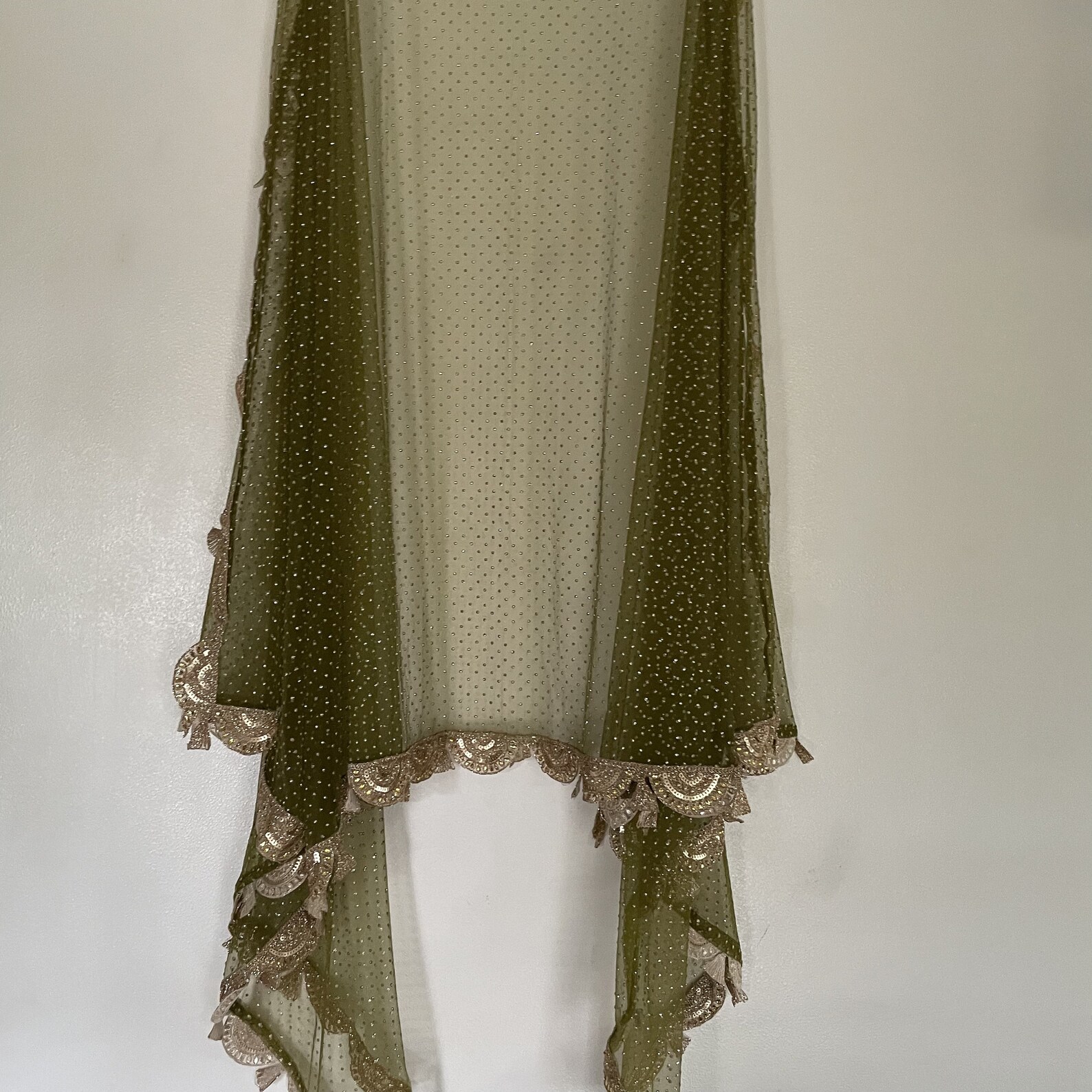 Olive Green Net Dupatta With Golden Beaded Border Indian - Etsy