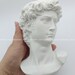 Michelangelo's David Figurines & Statue - Resin Sketch Plaster Statue ...
