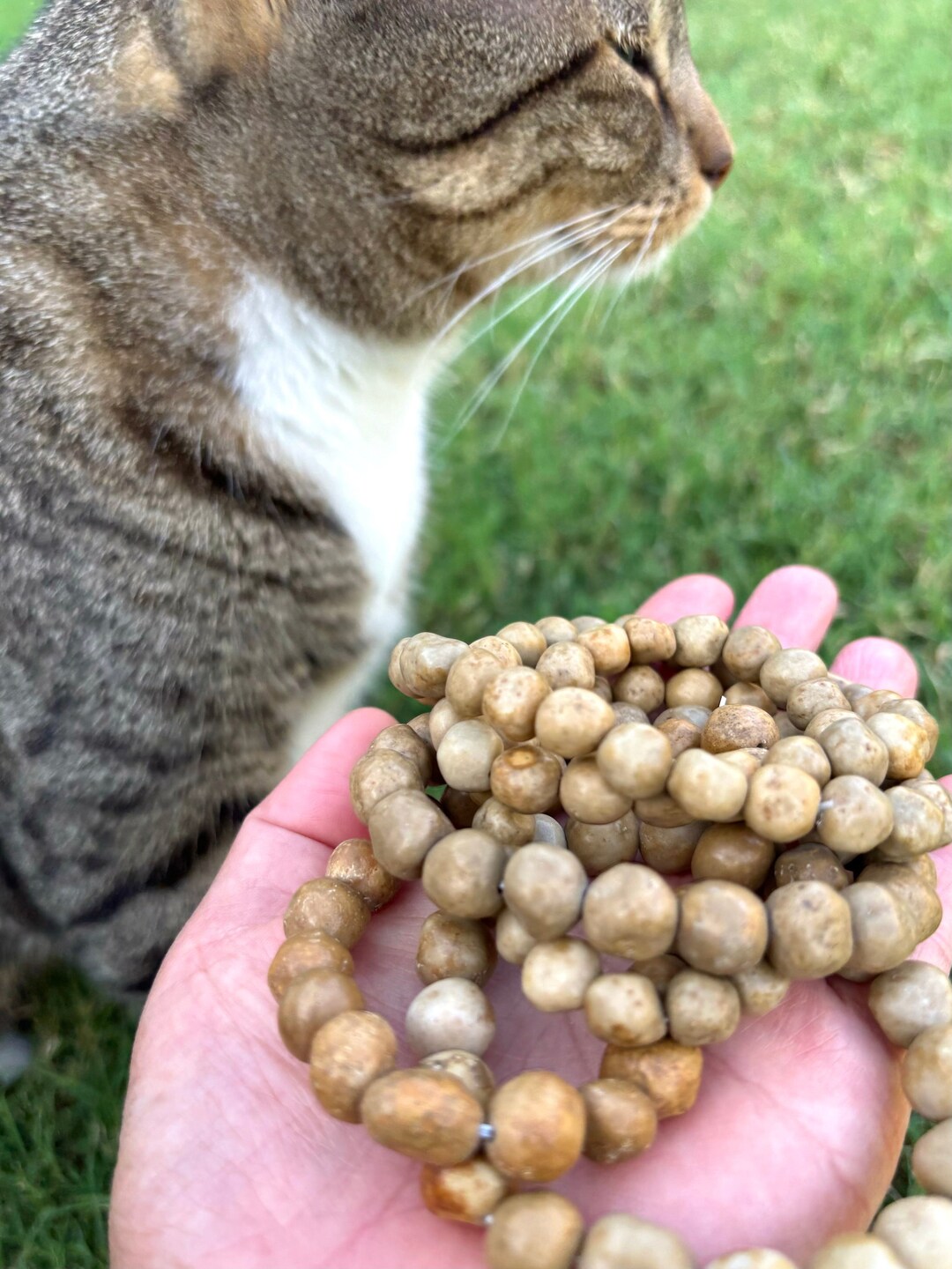 RARE Dragons Palace Relic Nugget Stone Bracelet. Sacred Talisman ...