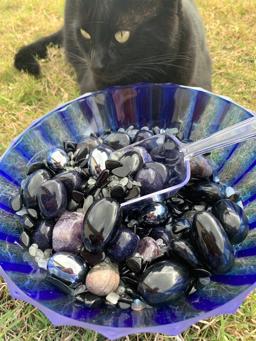 MIDNIGHT Paw-picked Crystal Confetti. Mystery Crystal Chosen by Cats ...