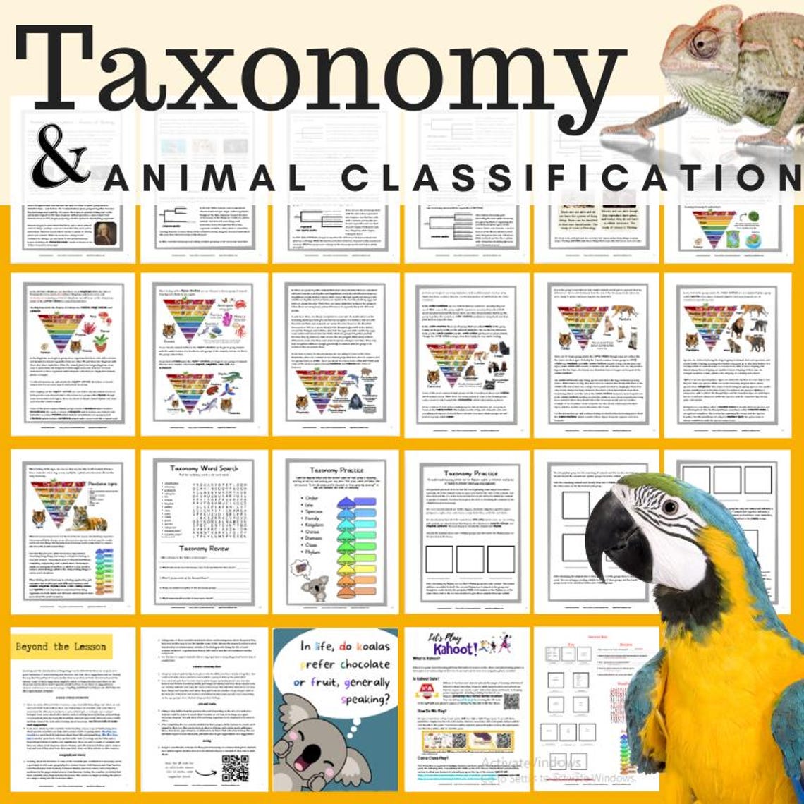 Taxonomy and Animal Classification and Three Domains of Life Printable ...