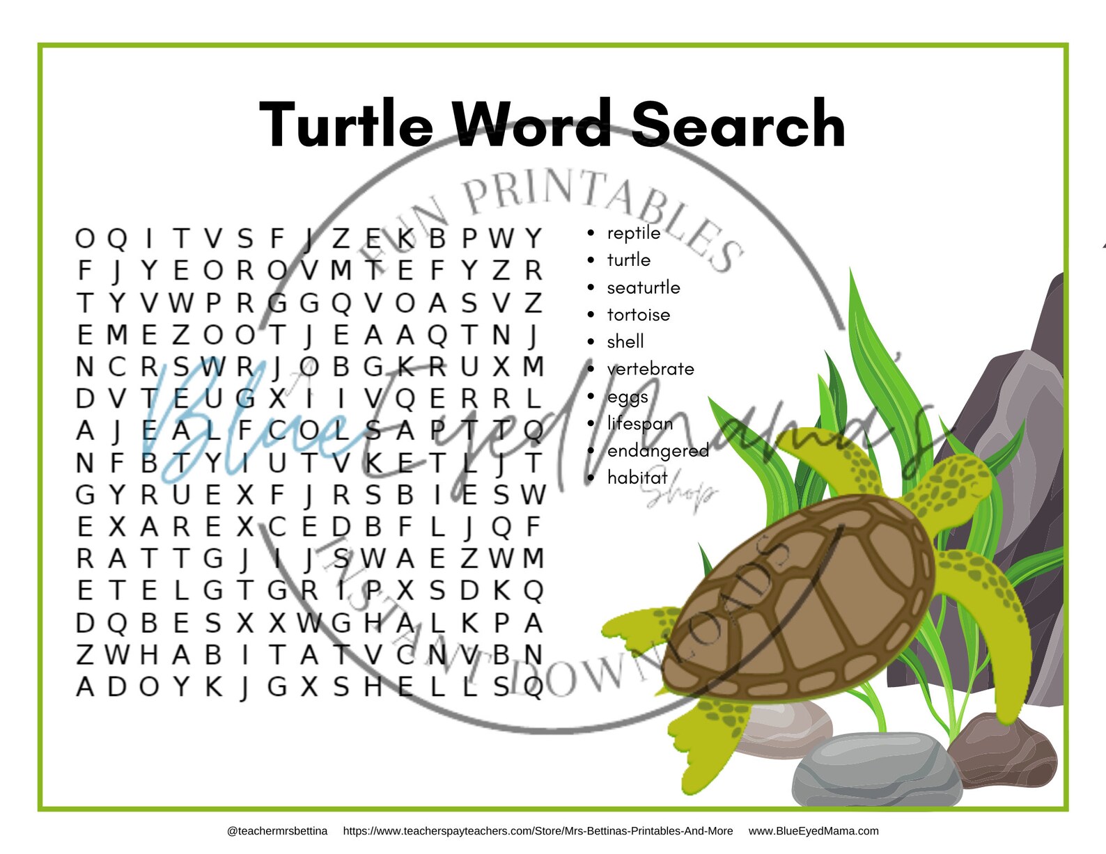 Turtles, Sea Turtles, and Tortoises - Budding Biologist Printable With ...