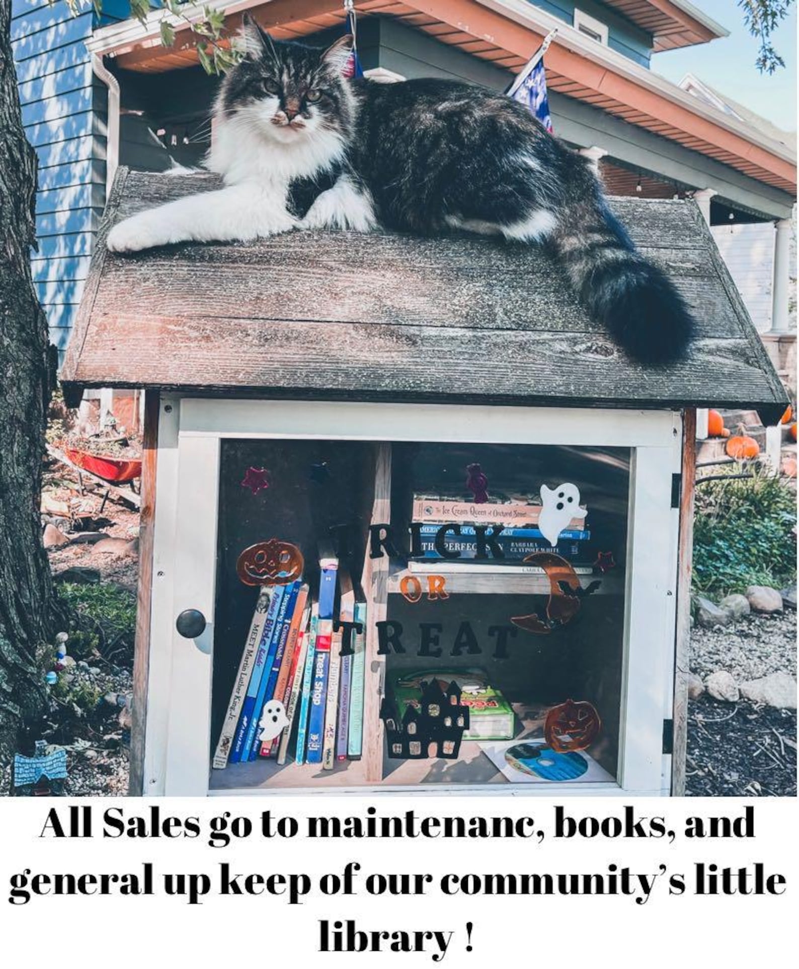 Leif Erikson Lesson, Historical Explorer Study for Homeschool or ...