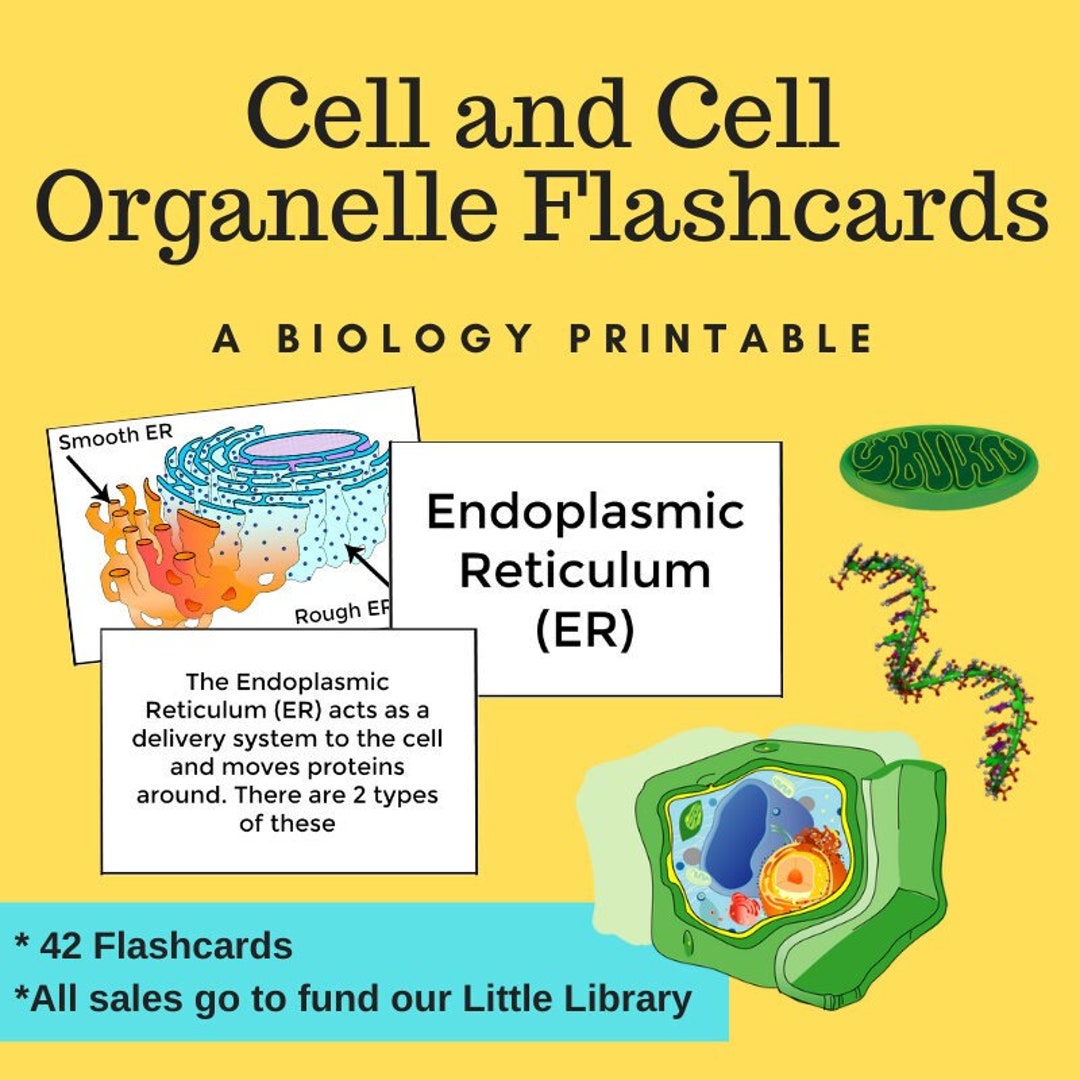 Cell Flashcards and Organelle Study Printables With Bonus Memory Games ...