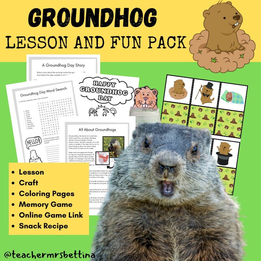 Groundhog Day Activities and Printable With Memory Game and Lesson - Etsy