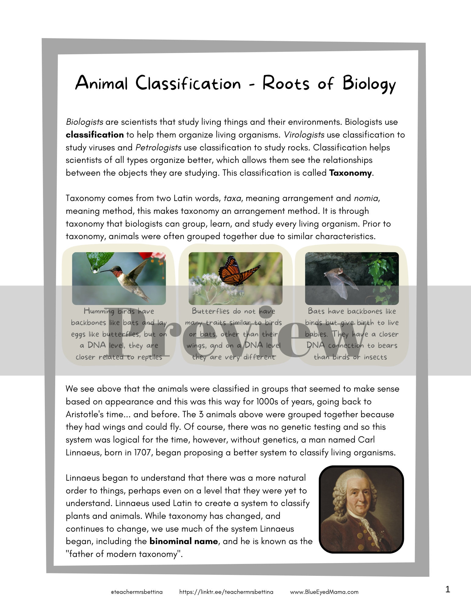 Taxonomy and Animal Classification and Three Domains of Life Printable ...