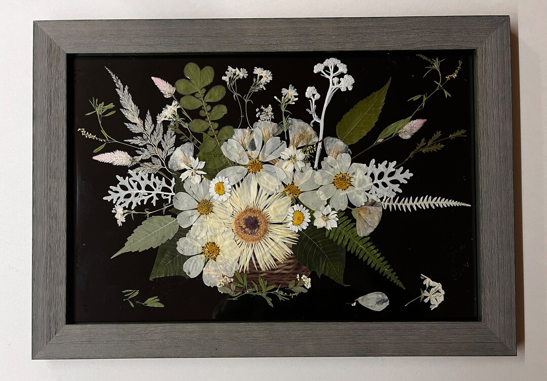ORIGINAL Real Pressed Flower Artwork Pressed Flowers on the Black Paper ...