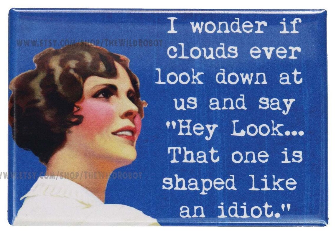 That One is Shaped Like an Idiot FRIDGE MAGNET Humor Funny - Etsy