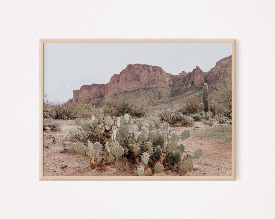 Arizona Desert Print | Boho Desert Photo | Landscape Photography ...