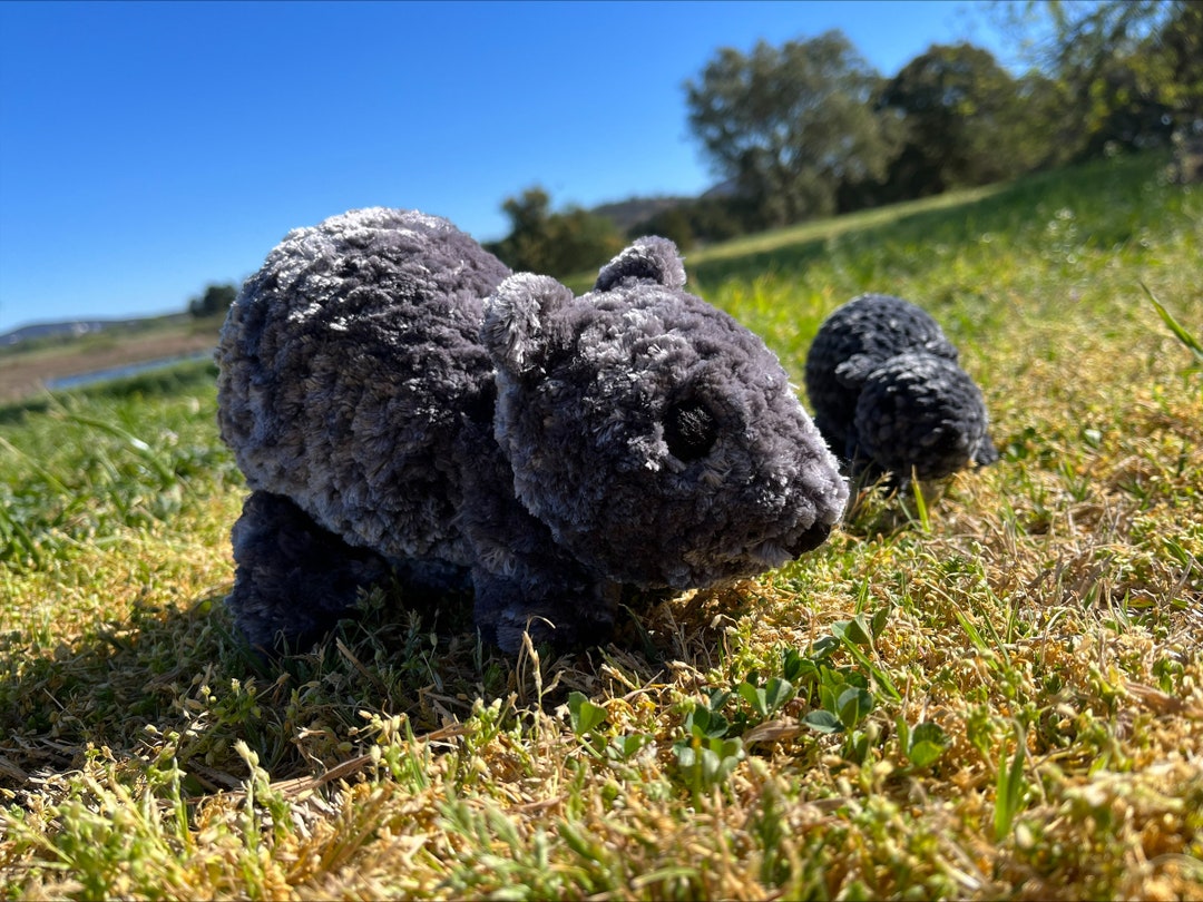 Wombat Mini Amigurumi Crochet Beginner Friendly PDF Pattern - Etsy