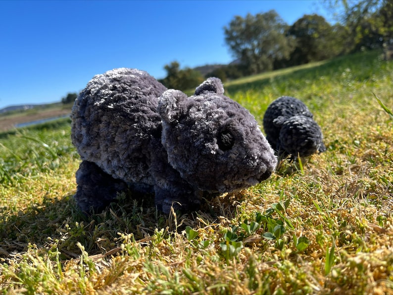 Wombat Mini Amigurumi Crochet Beginner Friendly PDF Pattern - Etsy