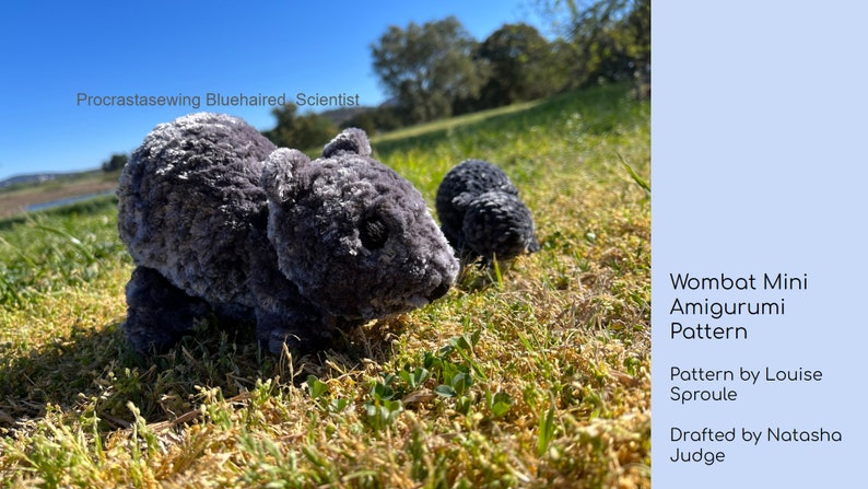 Wombat Mini Amigurumi Crochet Beginner Friendly PDF Pattern - Etsy