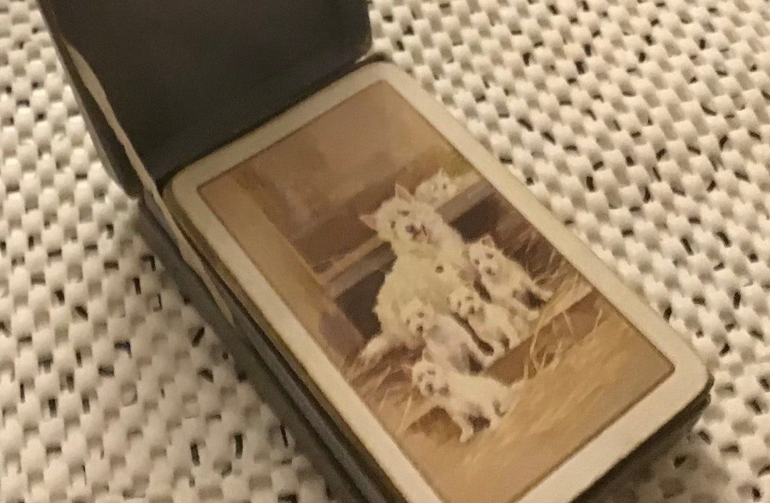 Vintage Playing Card Sets. Dogs. 1950s. Era. Highly Collectible ...