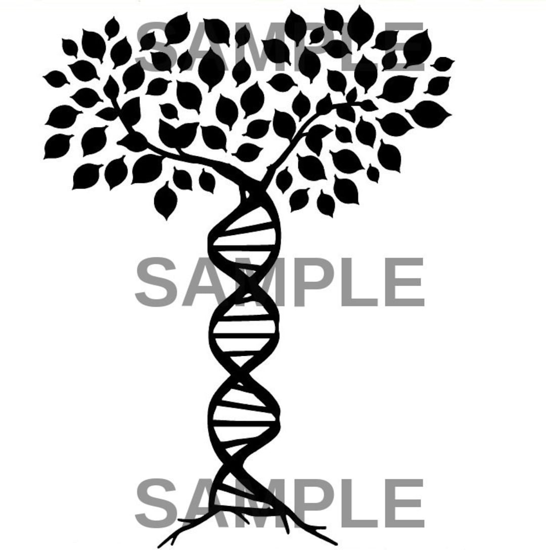 DNA Tree of Knowledge, Life, Svg Png Jpg Digital File - Etsy