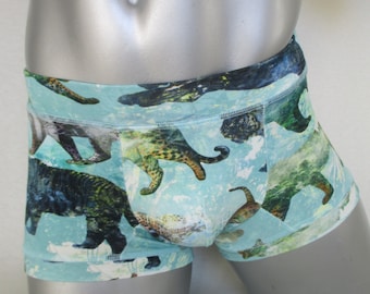 Transparent See Through Mens Boxers Mesh Tulle - Etsy