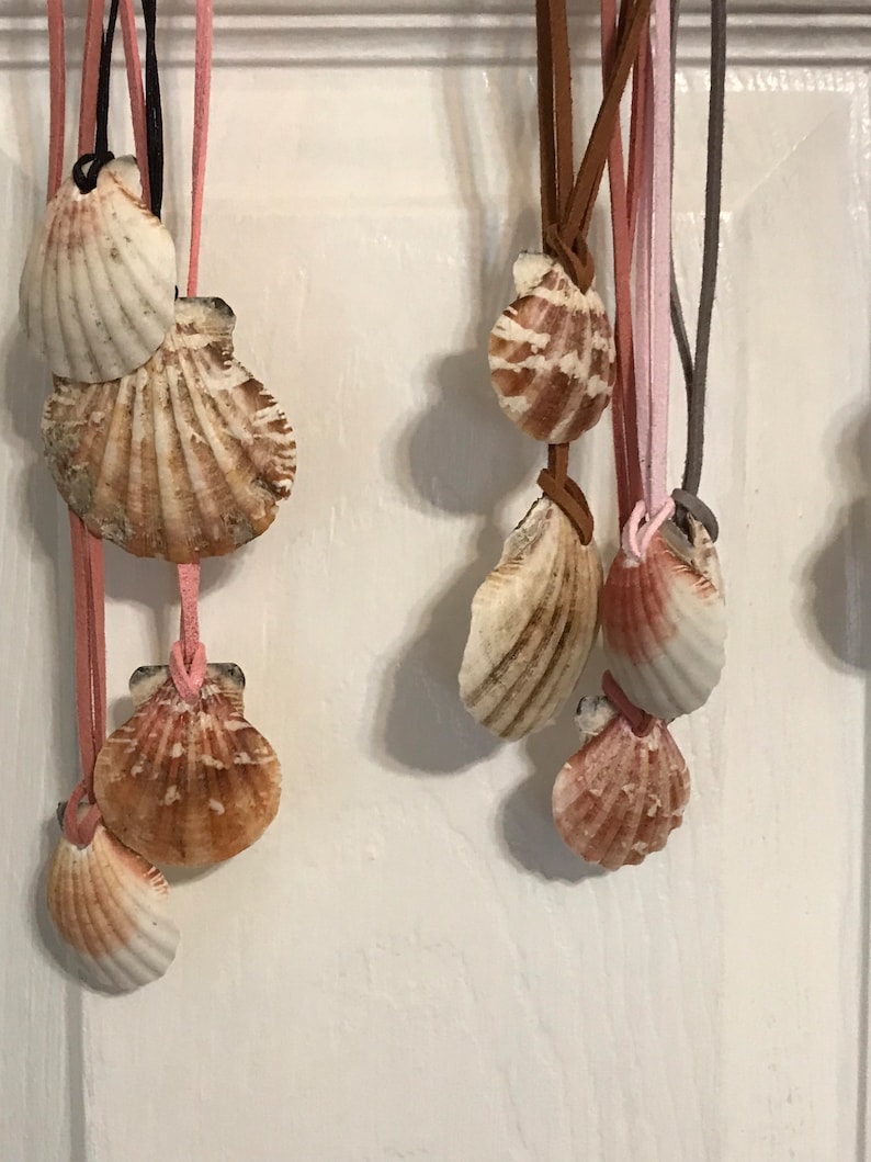 Seashell Necklace Seashell Pendant Summertime Jewelry Beach Jewelry ...