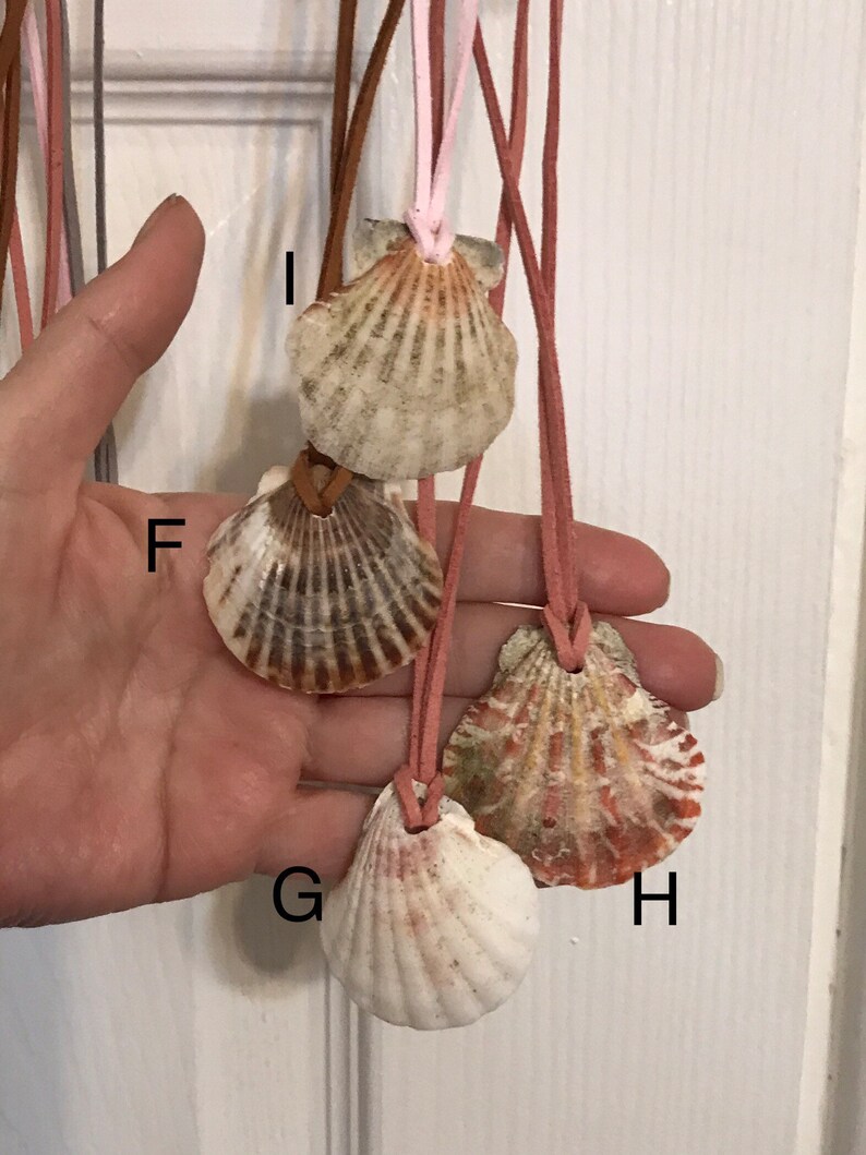 Seashell Necklace Seashell Pendant Summertime Jewelry Beach Jewelry ...