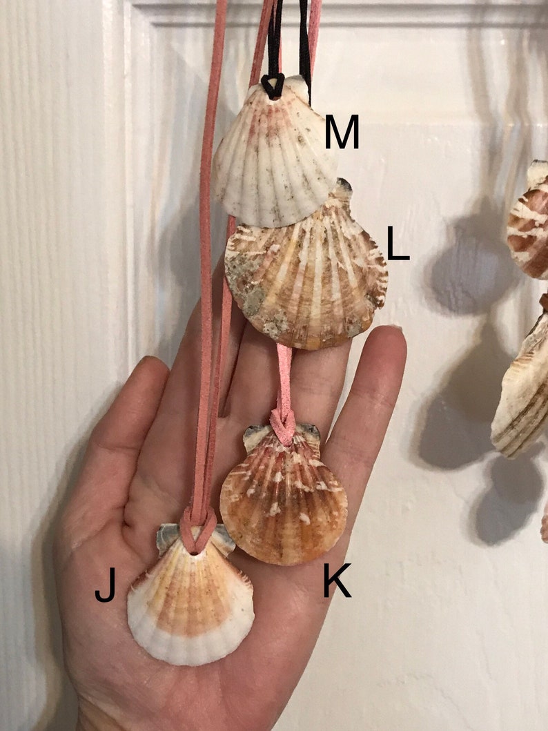 Seashell Necklace Seashell Pendant Summertime Jewelry Beach Jewelry ...