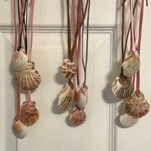 Seashell Necklace Seashell Pendant Summertime Jewelry Beach Jewelry ...