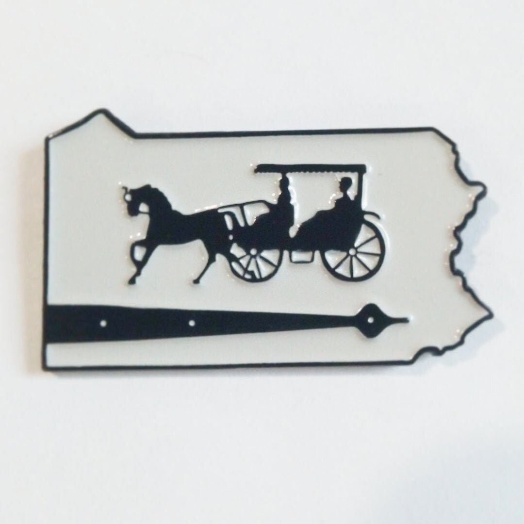 Storm Door Enamel Pin - Etsy