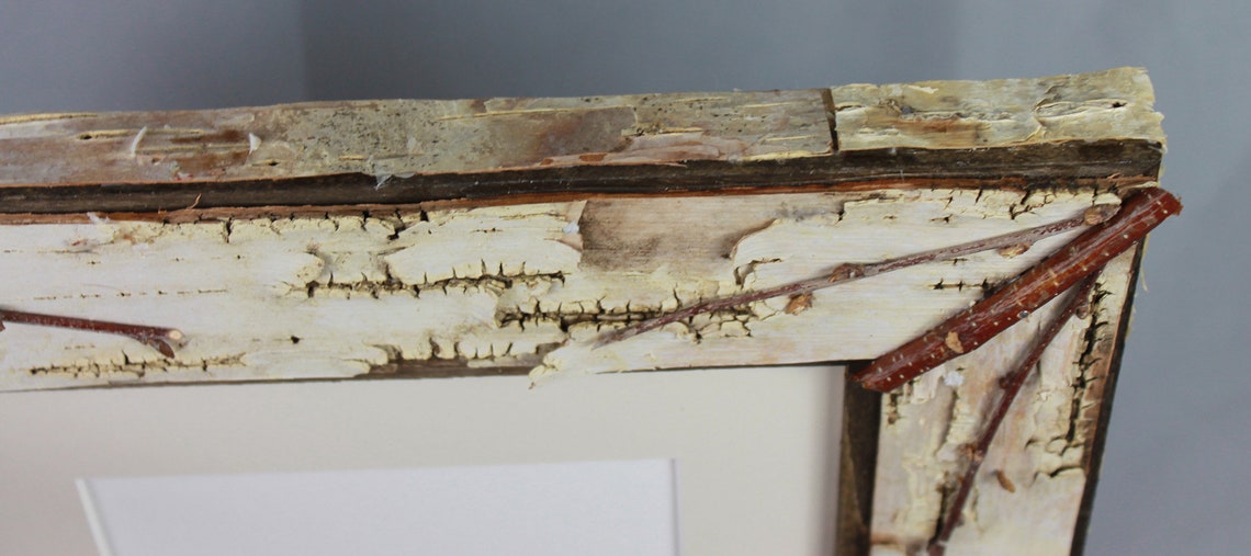 8 X 10 Inch Birch Bark Frame Adirondack Style Frame With Mat - Etsy