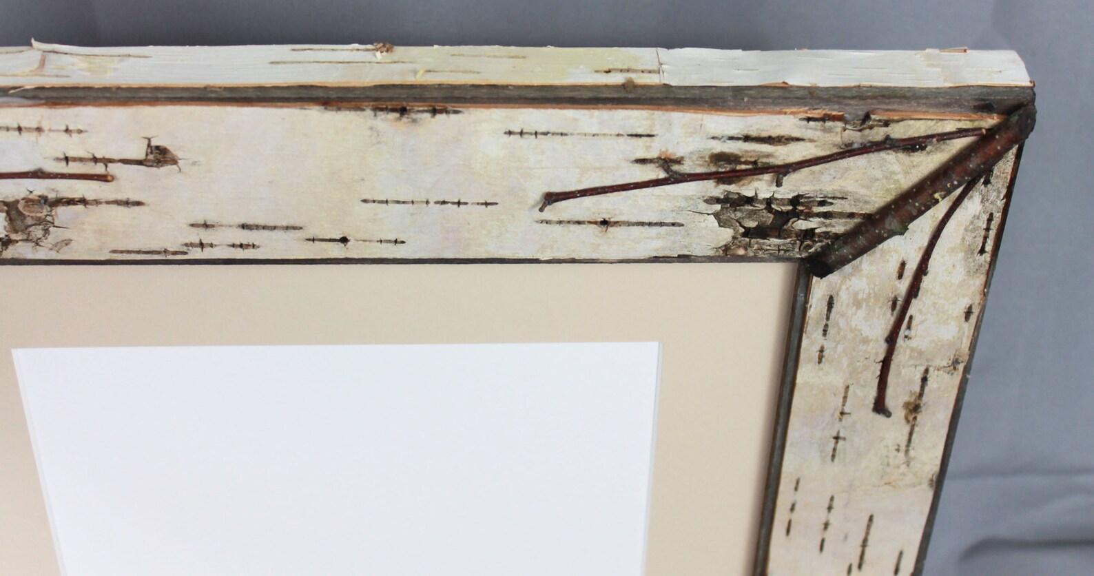 8 X 10 Inch Birch Bark Frame, Adirondack Style Frame With Mat to Fit a ...