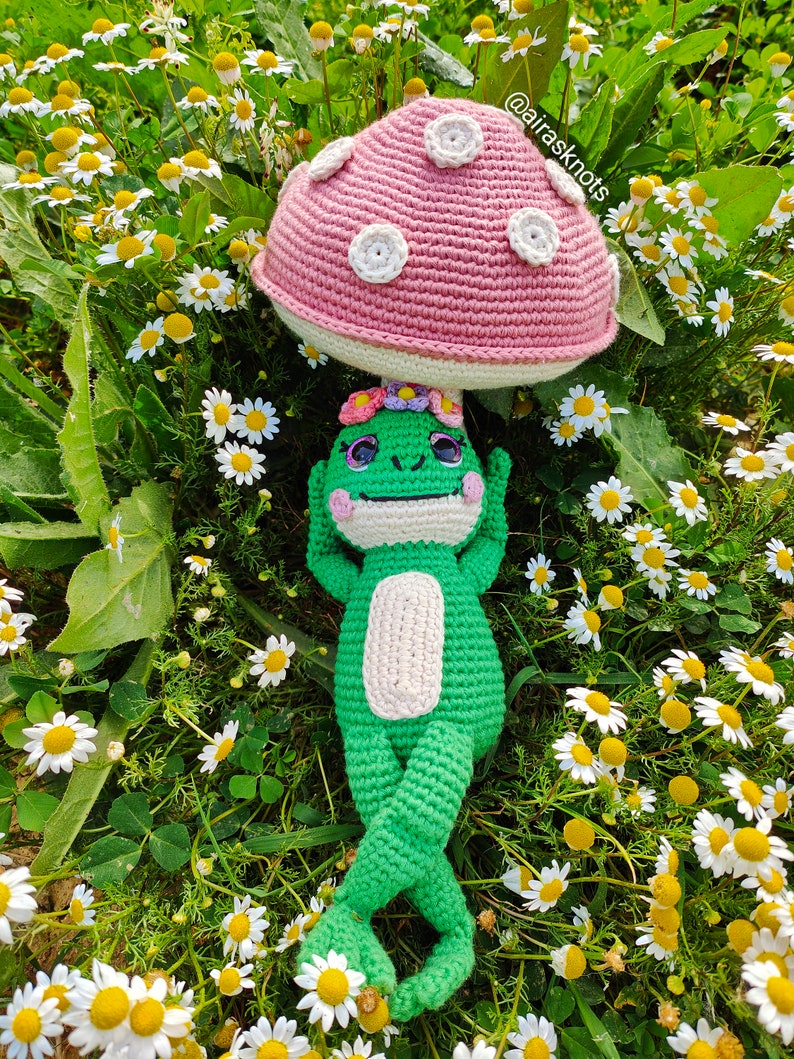Francine the Frog Amigurumi PDF Padrão Inglês - Etsy Portugal