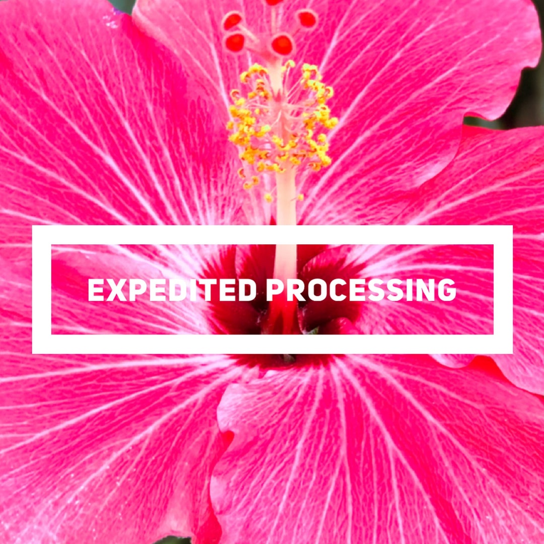Expedited Processing - Etsy