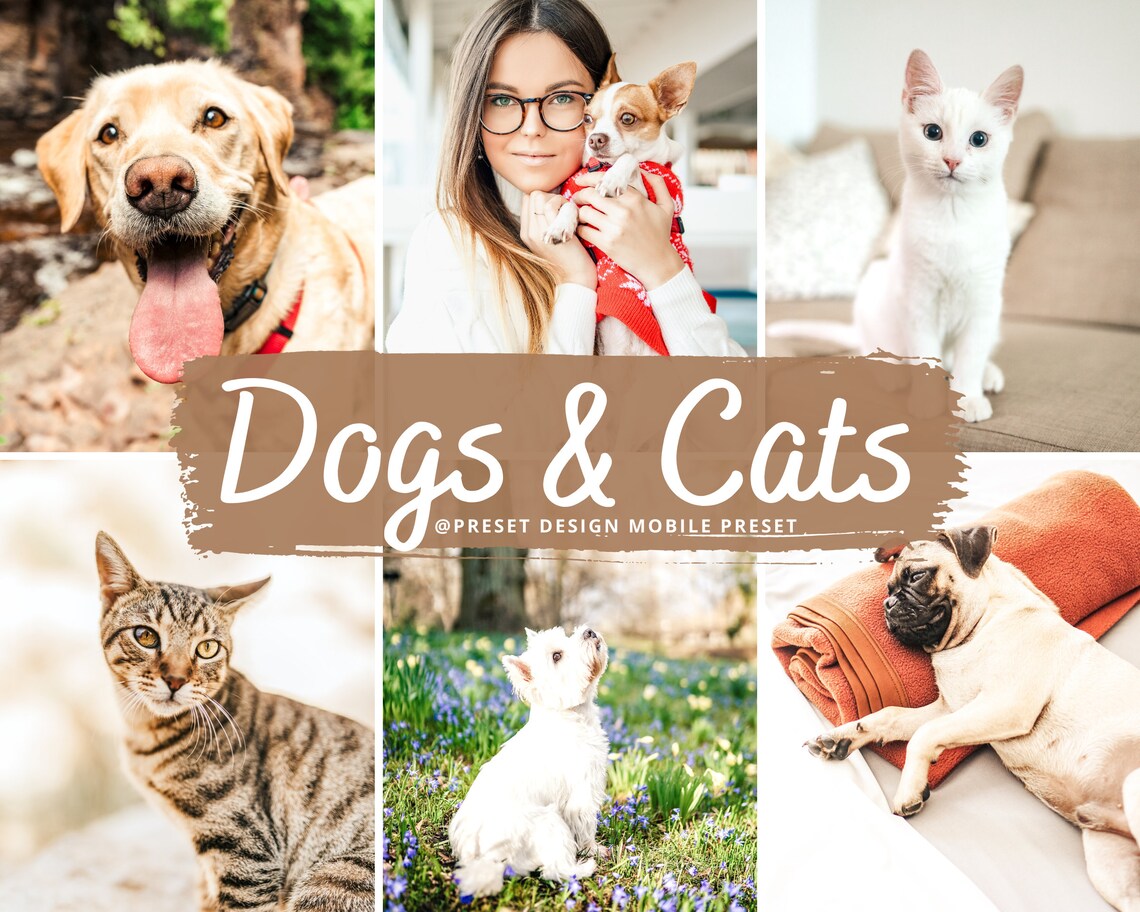 12 Dogs & Cats Lightroom Mobile Preset Pet Photo Editing | Etsy