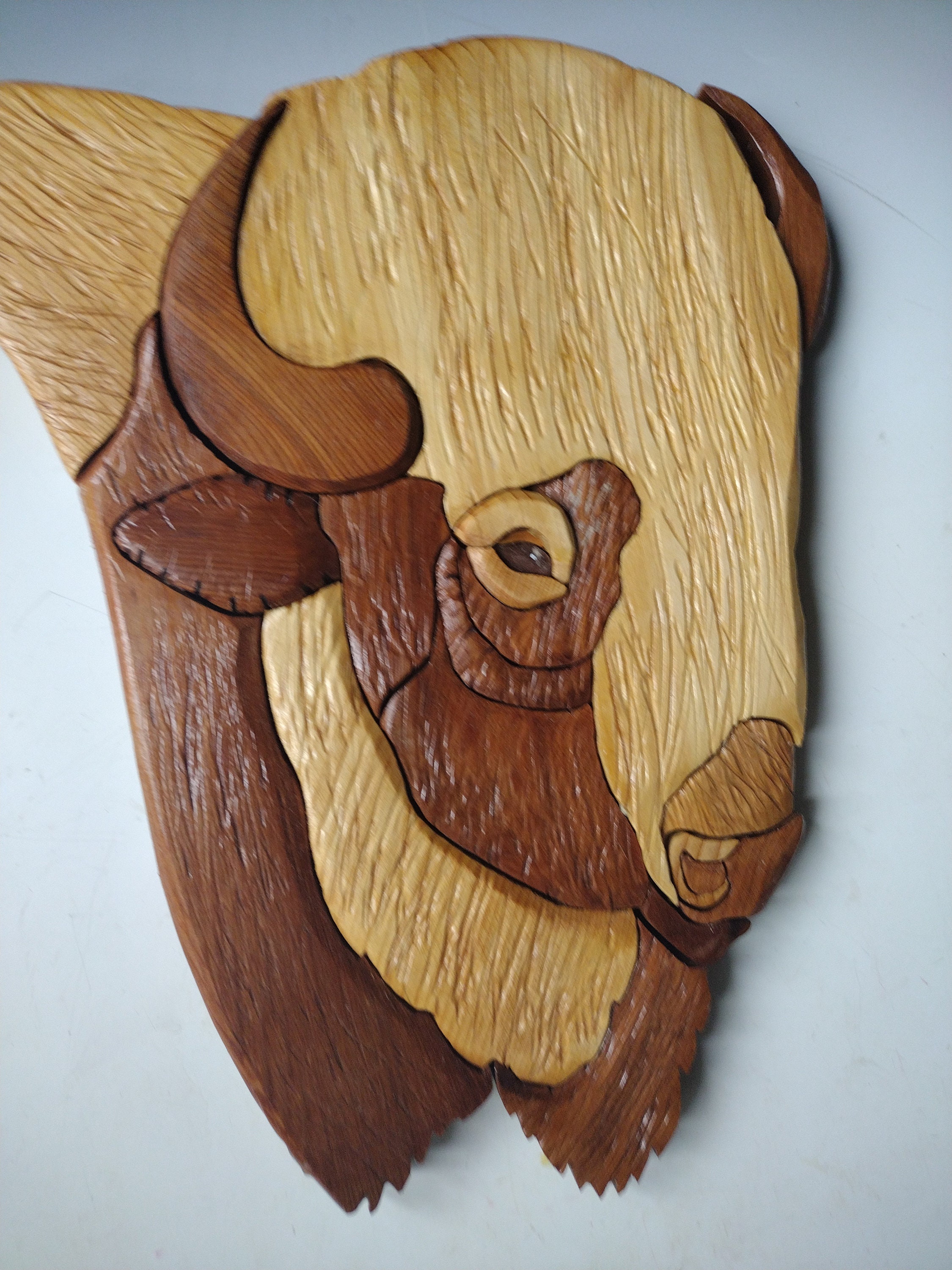 Intarsia Buffalo/wood Wall Art/western Art/intarsia/wild Life - Etsy