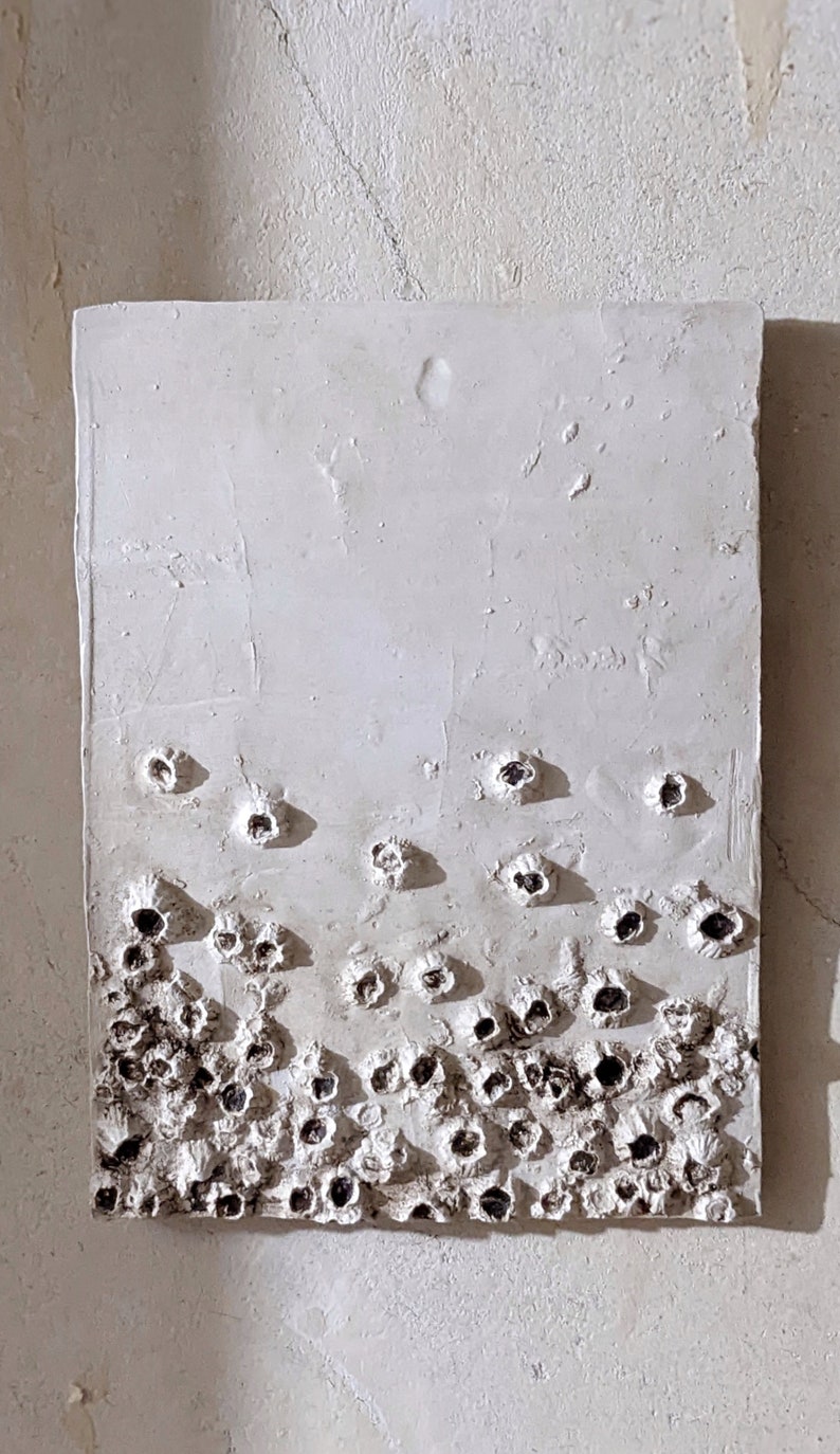 Barnacle Wall Relief Maine Gifts, Barnacle Gift, One of a Kind Art ...