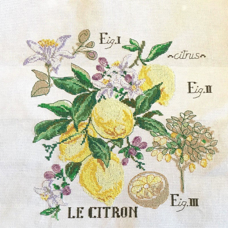 Botany Cross Stitch - Etsy