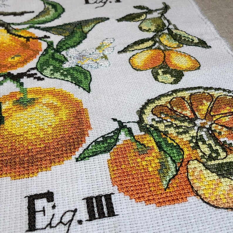COMPLETED CROSS STITCH Picture Embroidered With a Cross Oranges From ...
