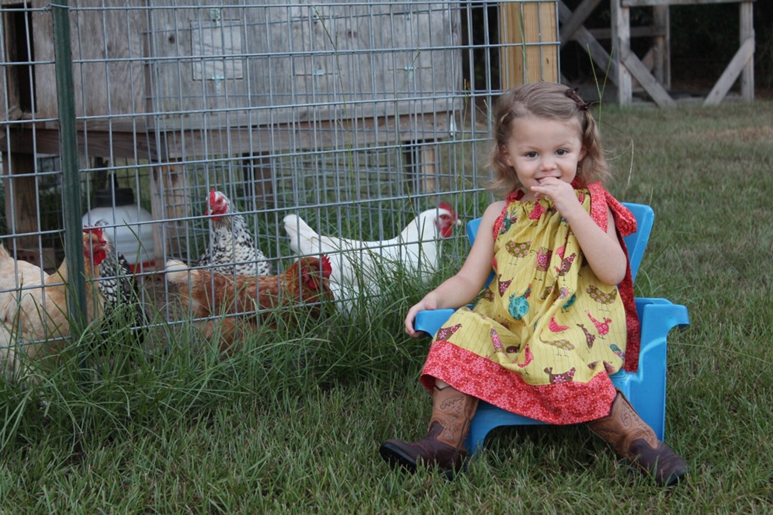 Girl Chicken Dress, Rooster, Toddler, Pillowcase Dress, Birthday ...