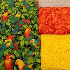 Parrot Jungle Dress, Jungle Pageant Wear, Girls, Ruffle Dress, Floral ...