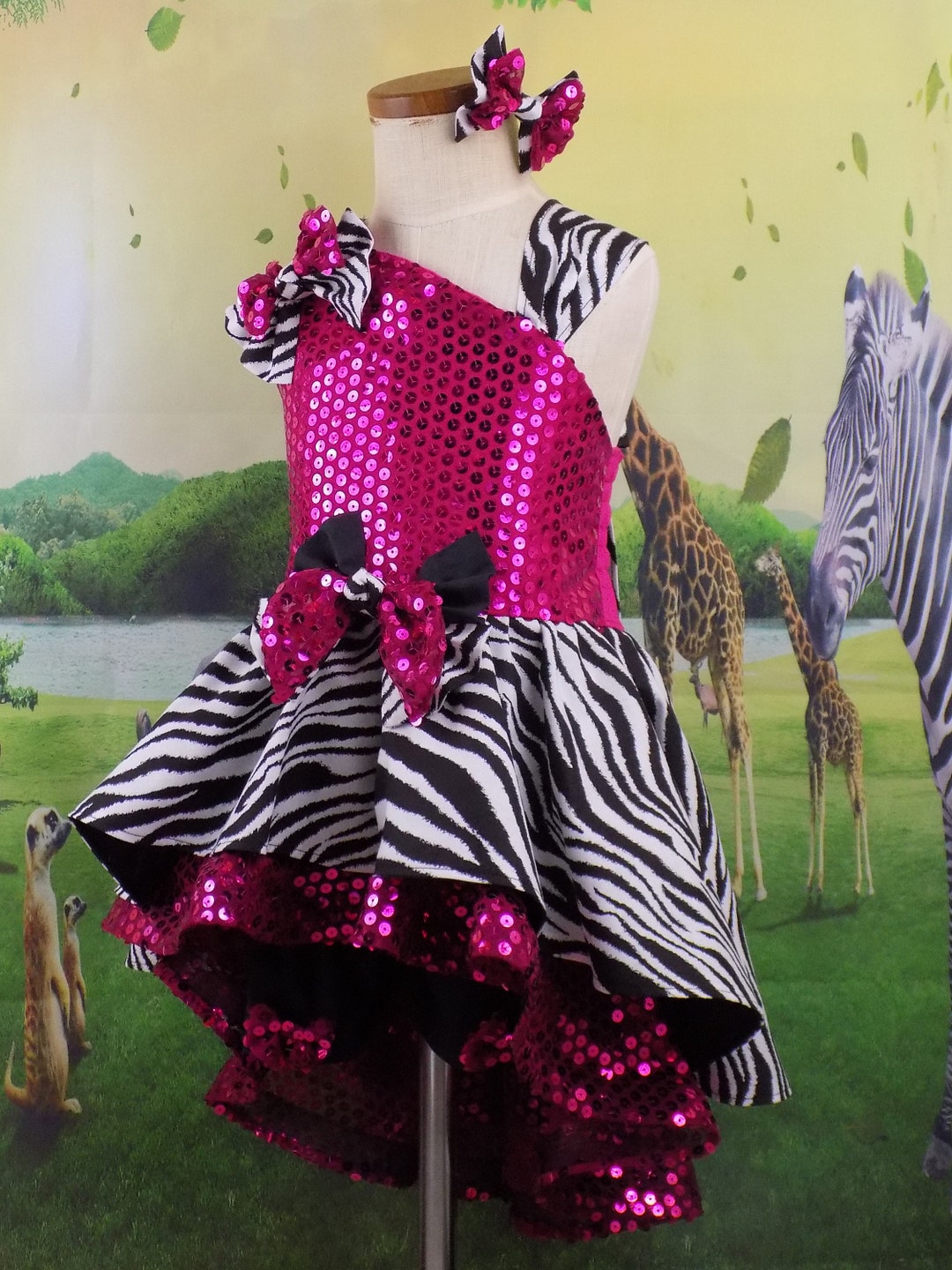 Jungle Pageant Wear, Zebra Outfit, Birthday Party, Wild Wear Set ...