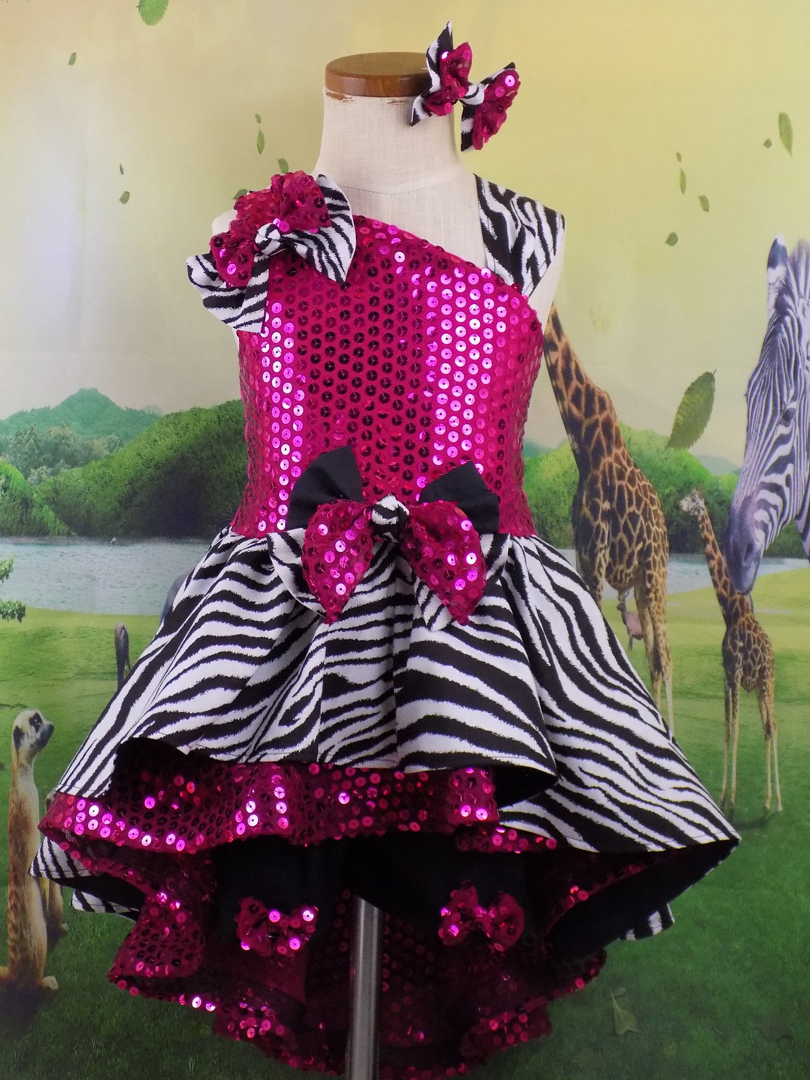 Jungle Pageant Wear, Zebra Outfit, Birthday Party, Wild Wear Set ...