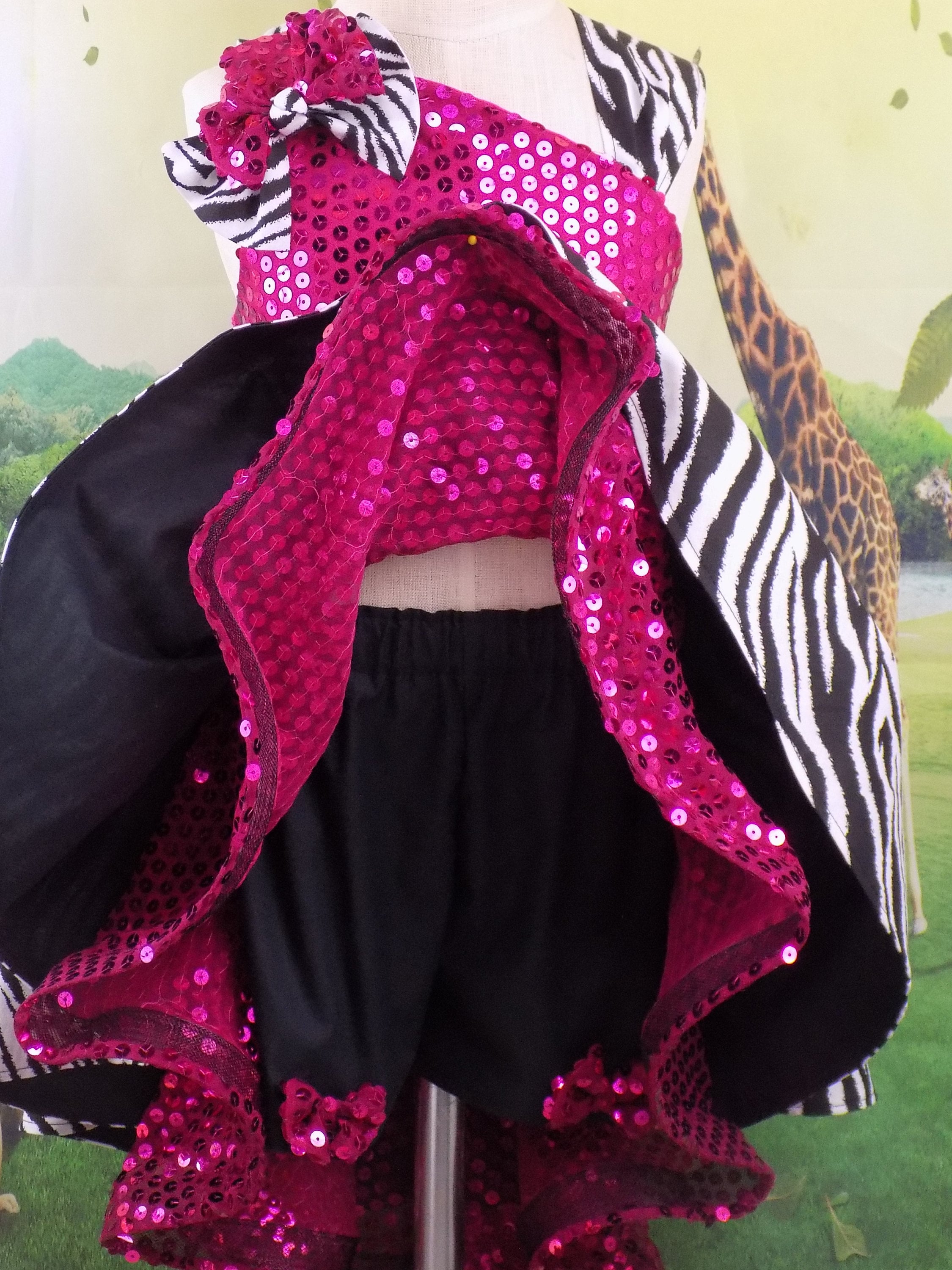 Jungle Pageant Wear, Zebra Outfit, Birthday Party, Wild Wear Set ...
