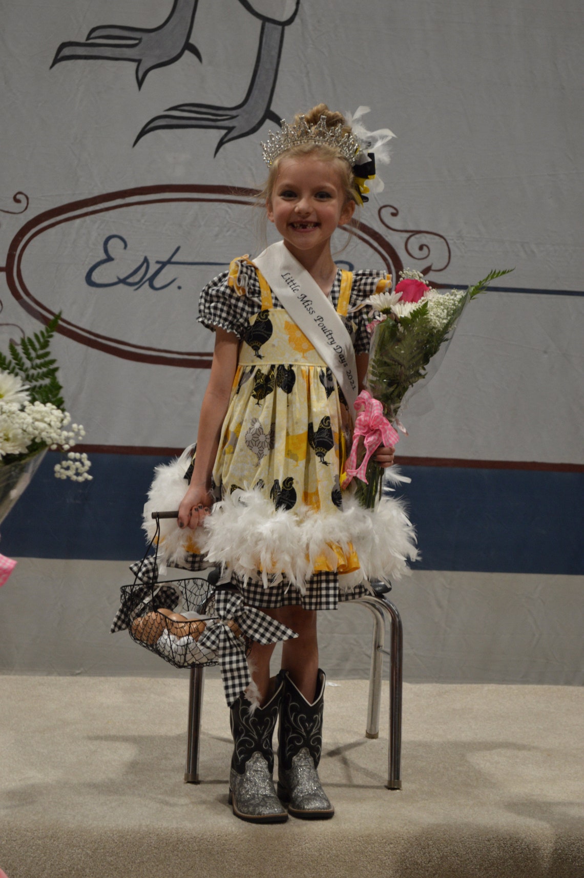 Chicken Dress Chicken Pageant Farm Dress Girl 1st | Etsy